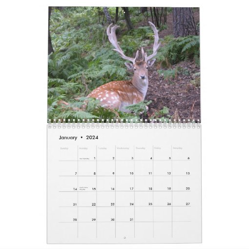 Nice Racks Wall Calendar | Zazzle