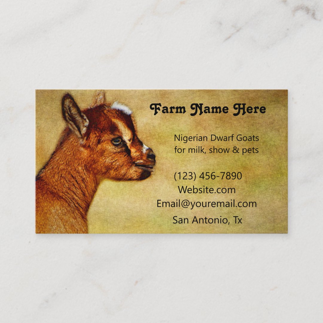 Nigerian Dwarf Dairy Goat Kid Business Card | Zazzle