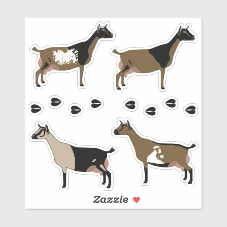 Nigerian Dwarf Dairy Goat Sticker | Zazzle