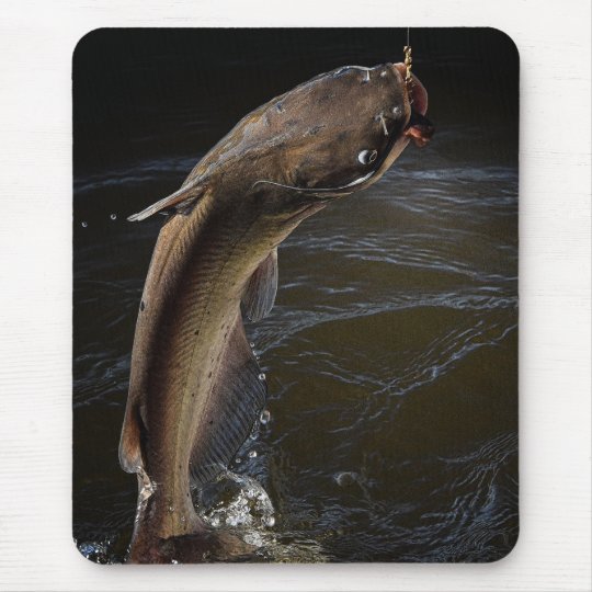 Night Channel Catfish Fishing Mouse Pad | Zazzle.com