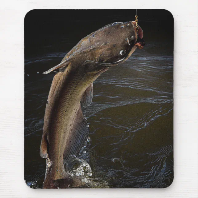 Night Channel Catfish Fishing Mouse Pad | Zazzle
