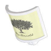 Night Light - Family Tree | Zazzle