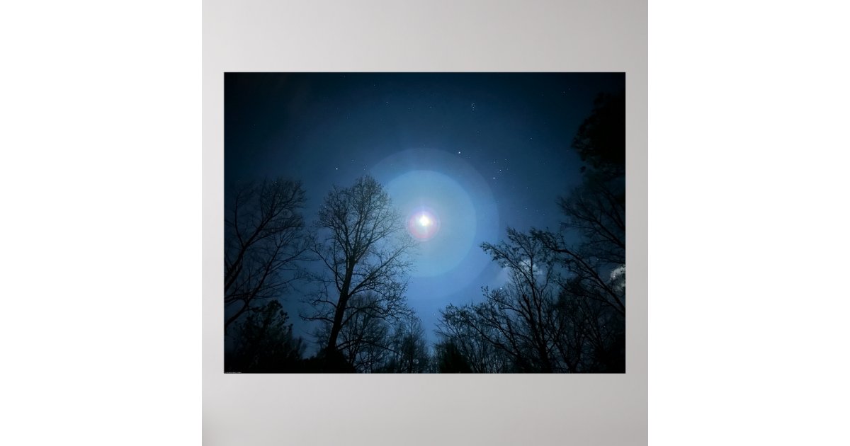 Night Light, Poster | Zazzle