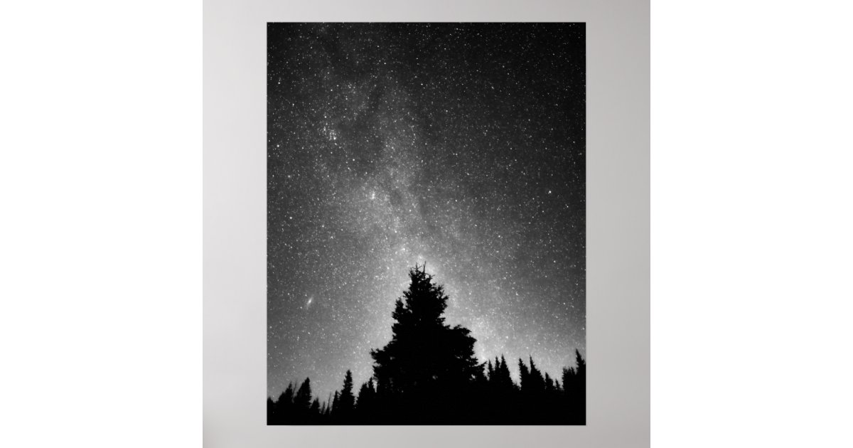 Night Sky Poster | Zazzle