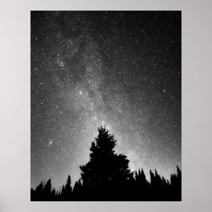 Night Sky Poster | Zazzle