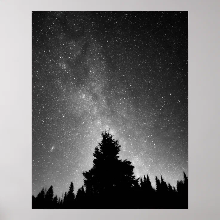 Night Sky Poster | Zazzle