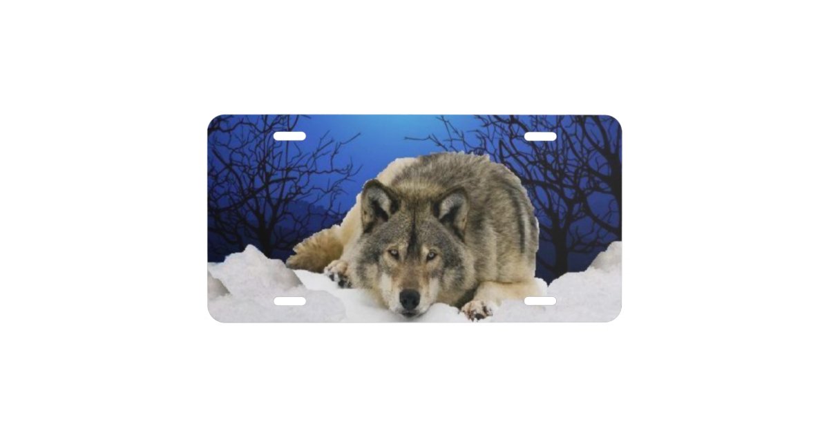 Night Watch License Plate | Zazzle