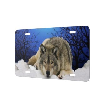 Night Watch License Plate | Zazzle