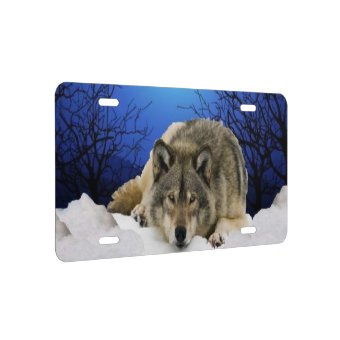 Night Watch License Plate | Zazzle