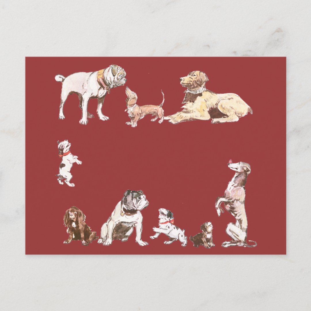 Nine Dogs Postcard | Zazzle