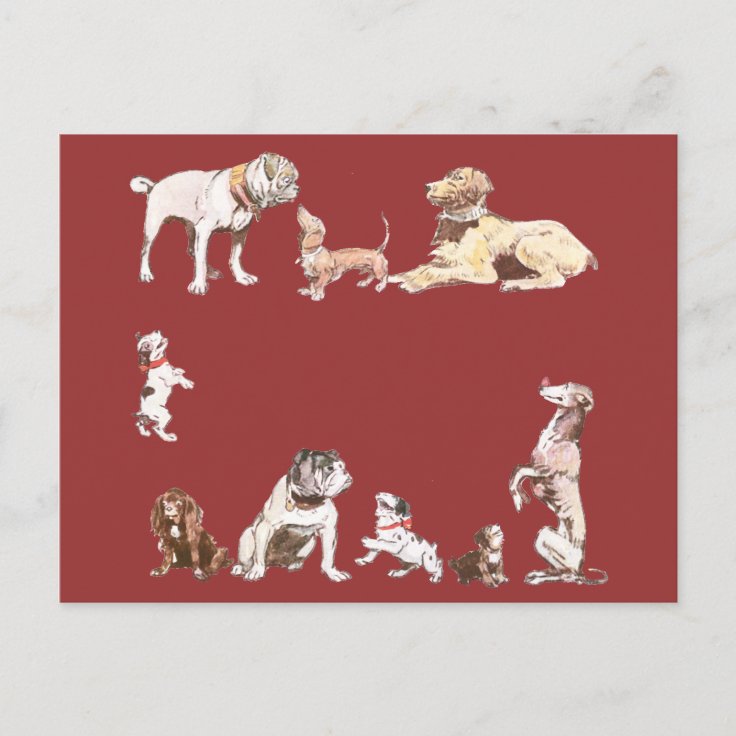 Nine Dogs Postcard | Zazzle