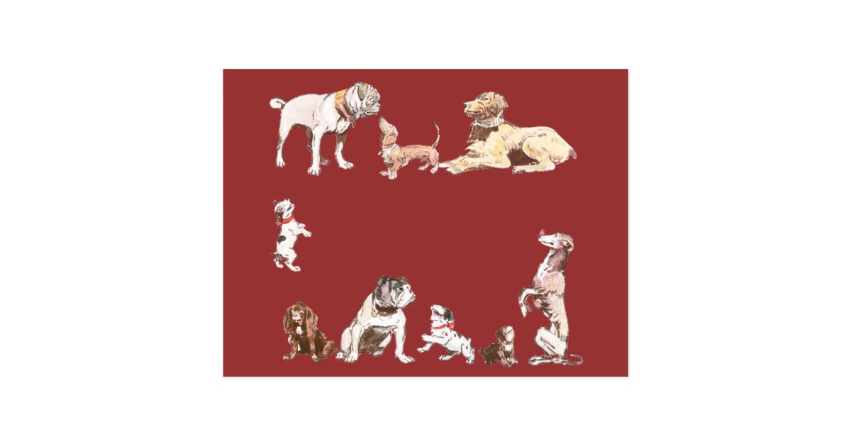 Nine Dogs Postcard | Zazzle.com