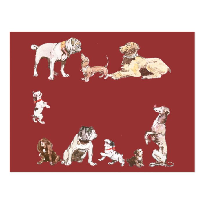 Nine Dogs Postcard | Zazzle.com