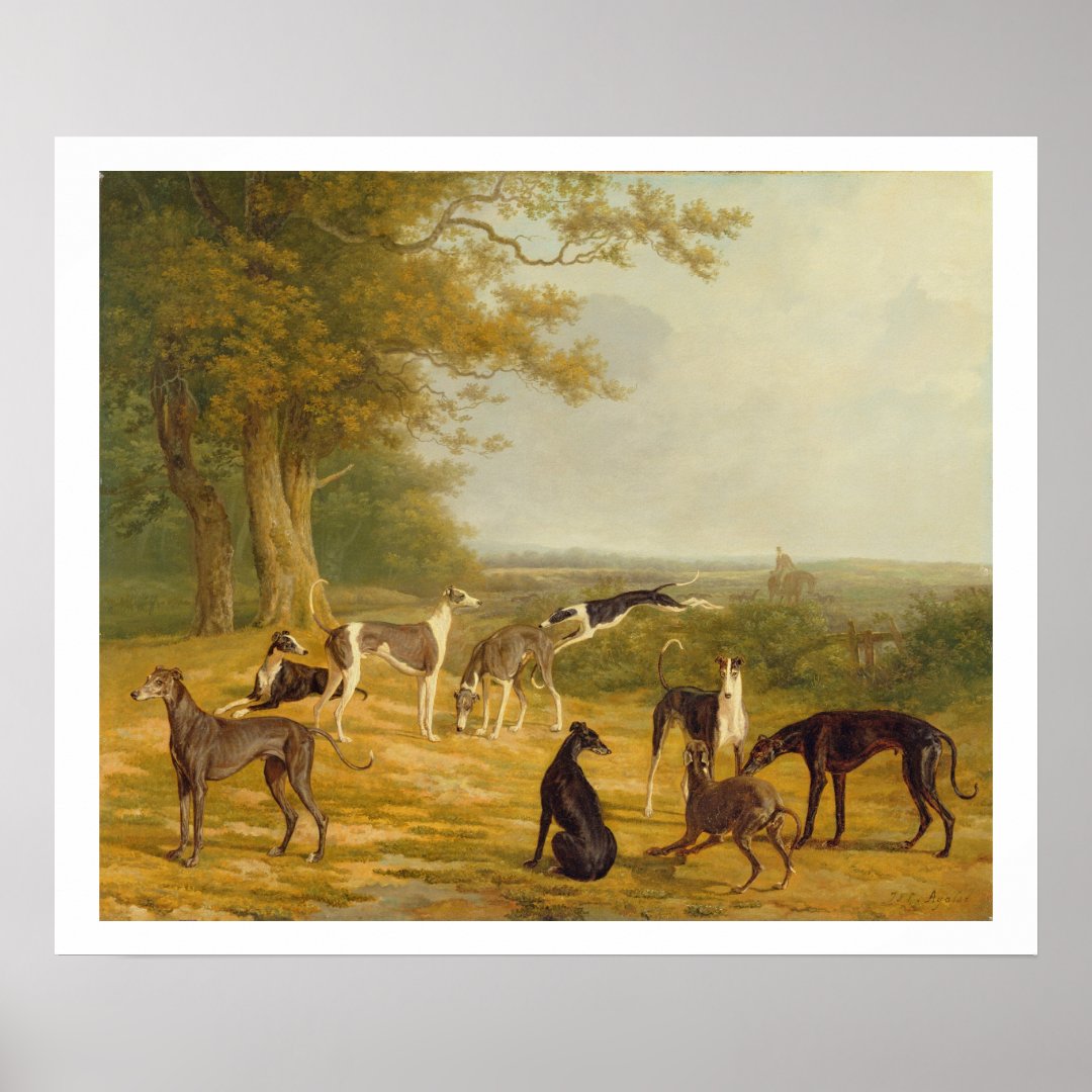 Nine Greyhounds in a Landscape (oil on canvas) Poster | Zazzle