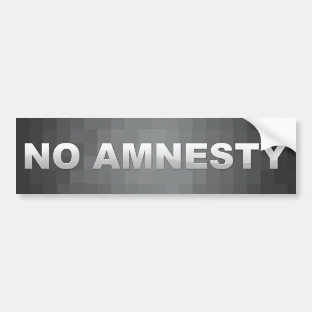 No Amnesty Bumper Sticker | Zazzle