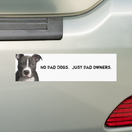 No Bad Dogs. Just Bad Owners. Bumper Sticker | Zazzle