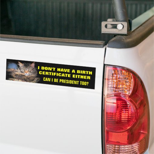 No Birth Certificate? Elect Me! Bumper Sticker | Zazzle