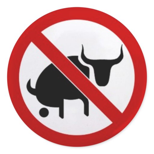 No Bullshit hardhat sticker | Zazzle