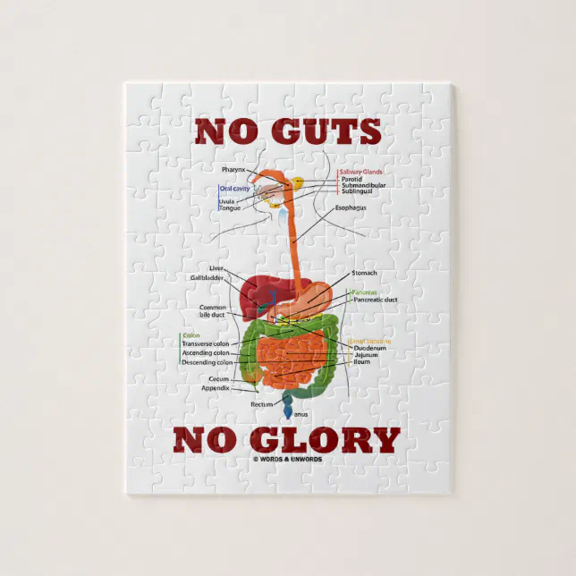 No Guts No Glory (Digestive System Humor) Jigsaw Puzzle | Zazzle