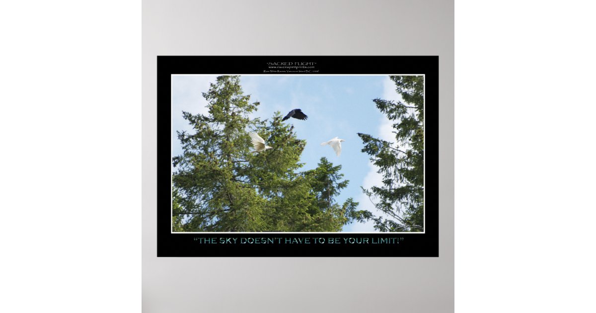 "NO LIMITS" Photo Print or Poster | Zazzle