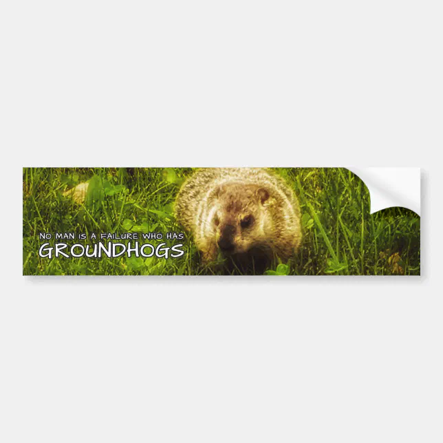 No man is a failure who has Groundhogs Bumper Sticker | Zazzle