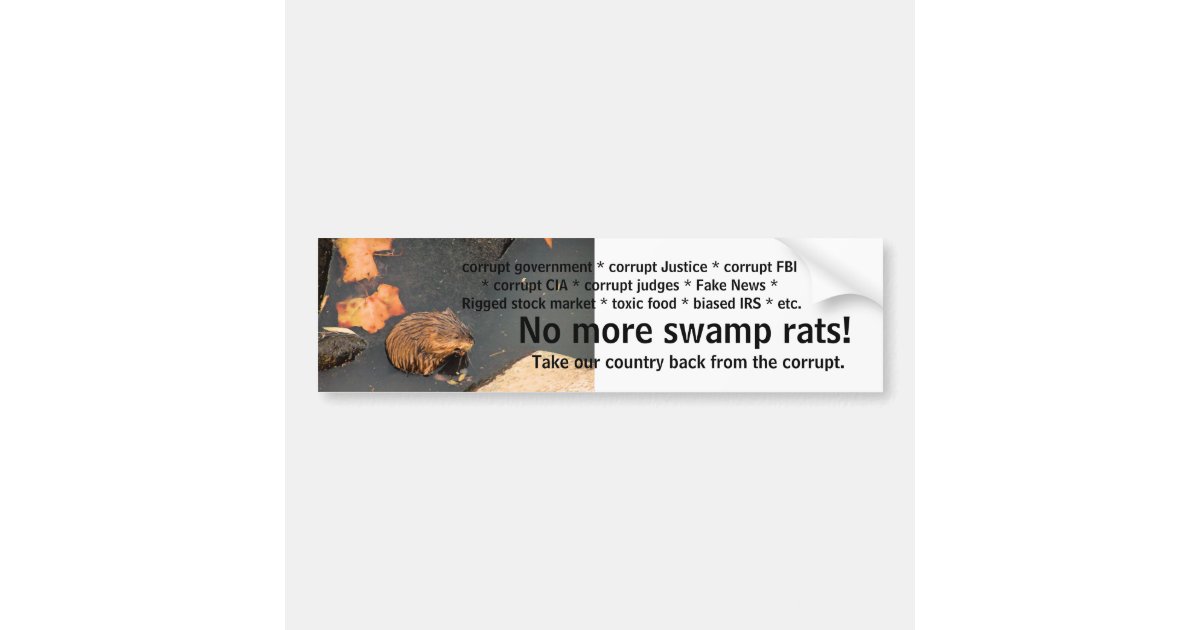 No more swamp rats bumper sticker | Zazzle