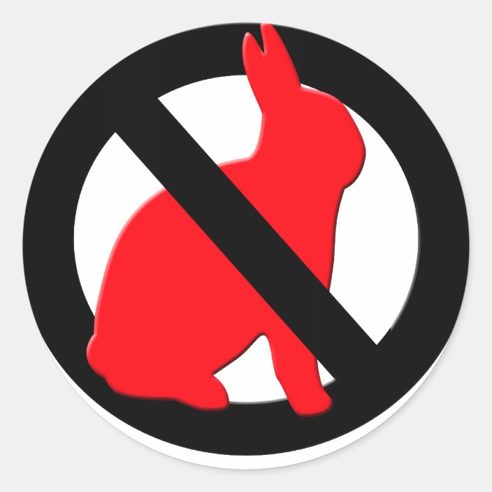 No Rabbits Allowed Classic Round Sticker | Zazzle.com