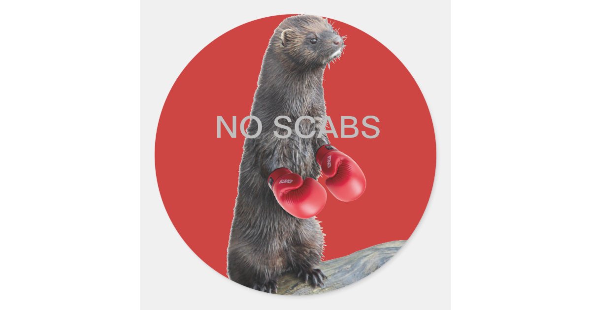 NO SCABS stickers | Zazzle
