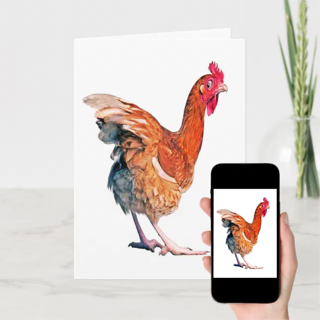 No Spring Chicken Birthday card | Zazzle