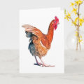No Spring Chicken Birthday card | Zazzle