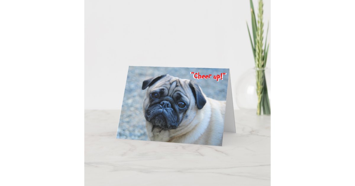 No Wrinkles Pug Birthday Card | Zazzle
