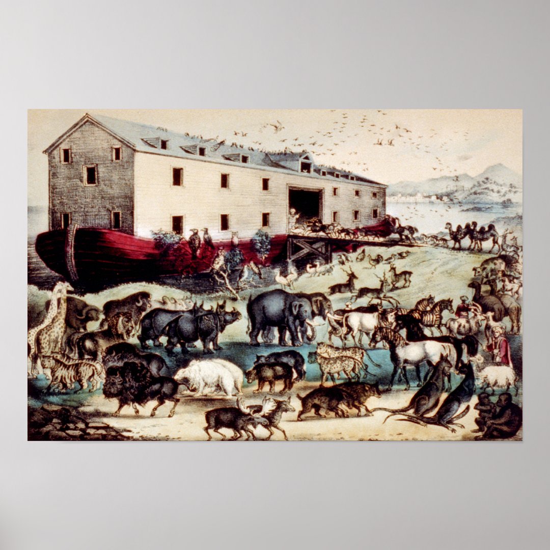 Noahs Ark Poster | Zazzle