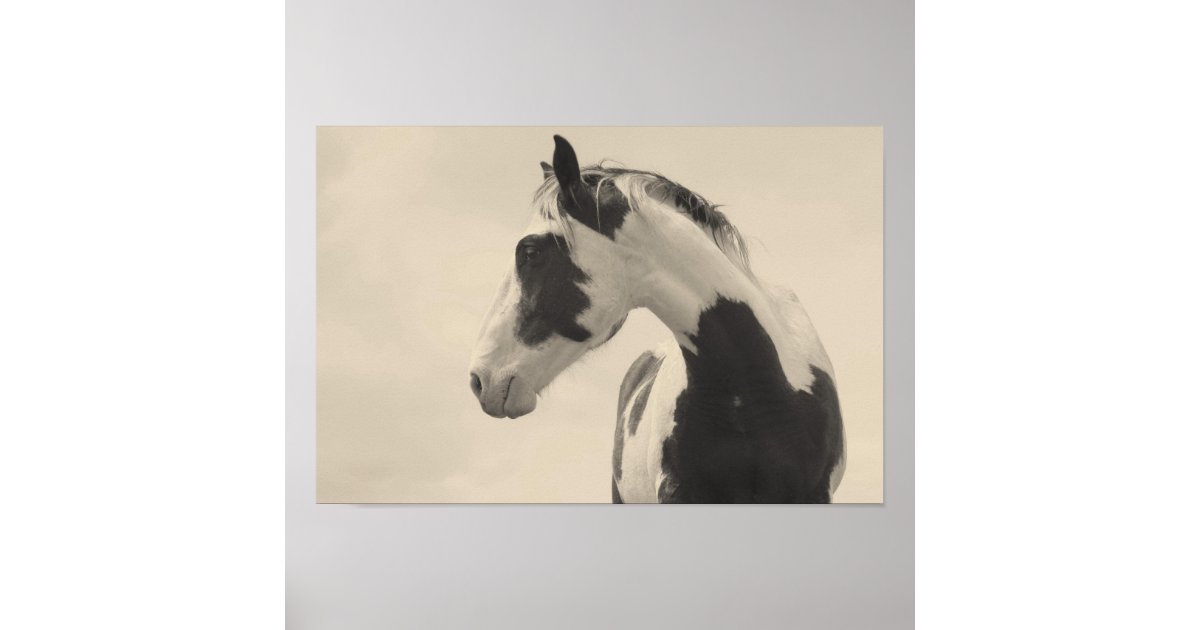 Nobel Beast Poster | Zazzle
