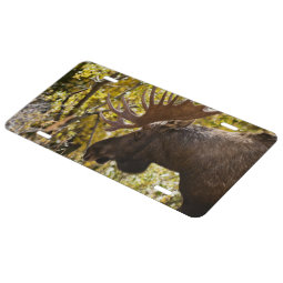 Noble Bull Moose License Plate | Zazzle