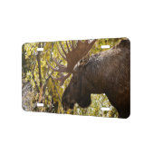 Noble Bull Moose License Plate | Zazzle
