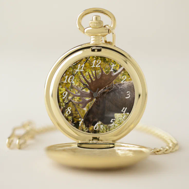 Noble Bull Moose Pocket Watch | Zazzle