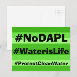 NoDAPL postcards | Zazzle