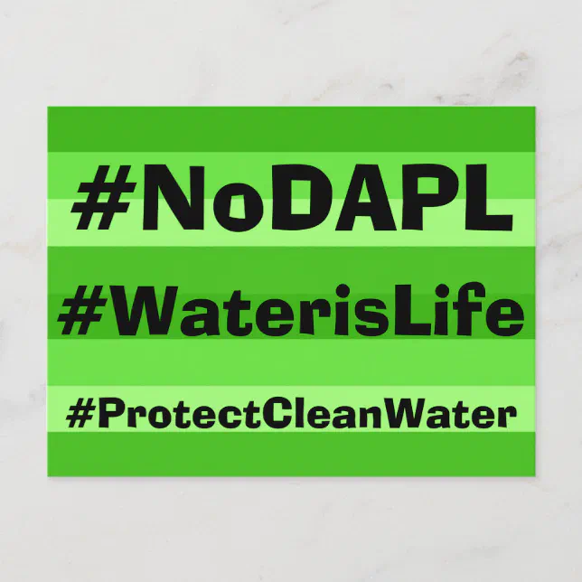 NoDAPL postcards | Zazzle