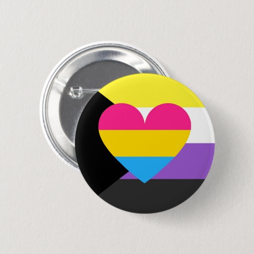 Nonbinary Panromantic Demisexual Pride Button | Zazzle