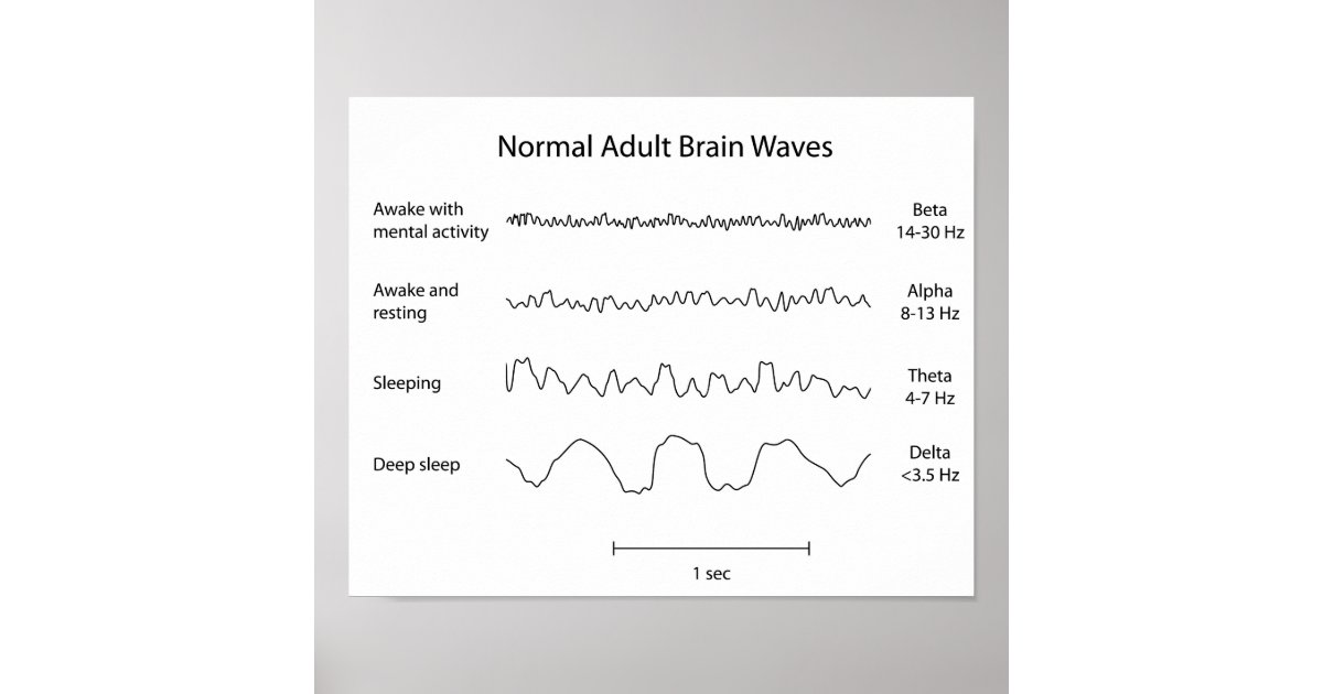 Normal adult brain waves eeg Poster | Zazzle