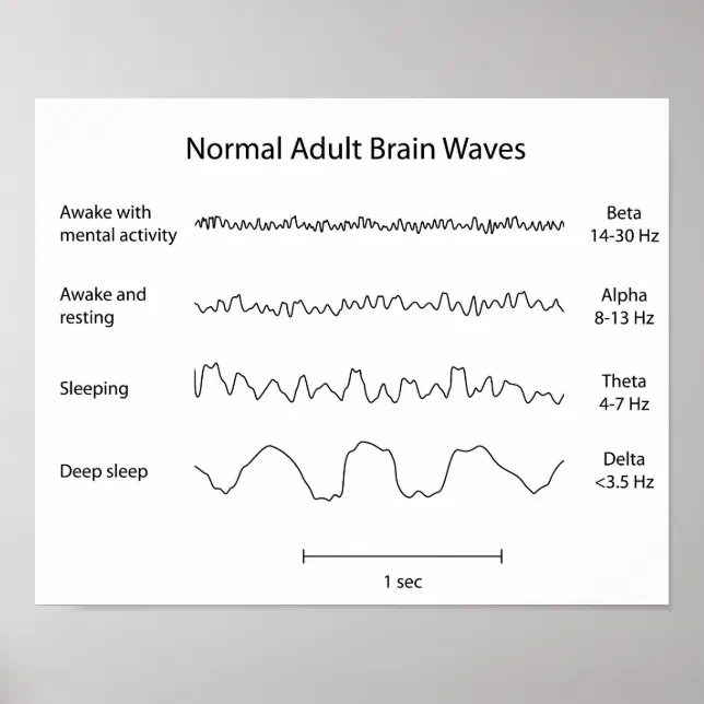 Normal adult brain waves eeg Poster | Zazzle