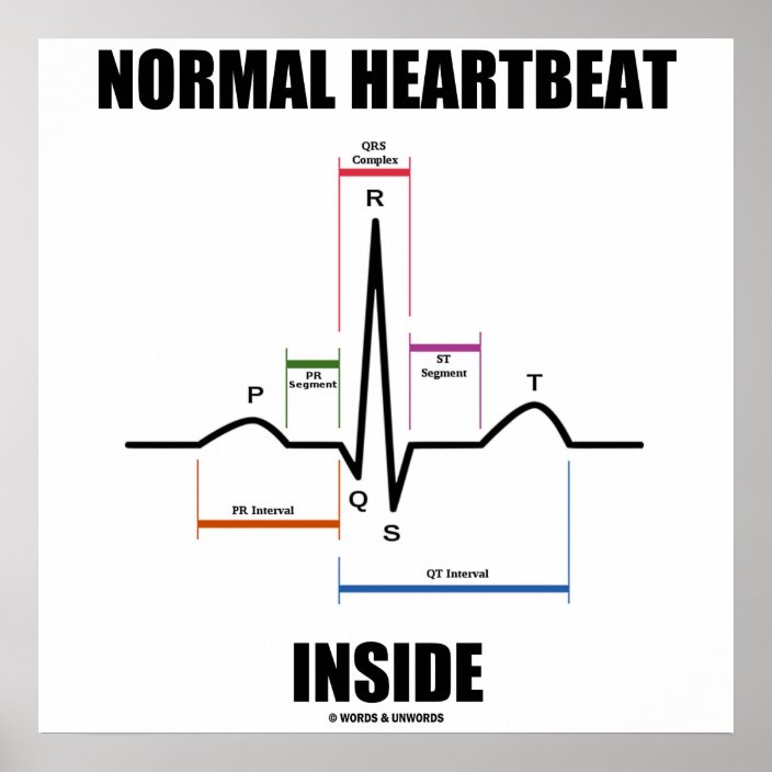 Normal Heartbeat Inside ECG EKG Electrocardiogram Poster | Zazzle.com