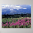 Fireweed & Mountains - Anchorage, Alaska Poster | Zazzle.com