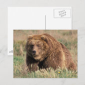 North America, USA, Alaska, Kodiak Island, Postcard | Zazzle