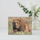 North America, USA, Alaska, Kodiak Island, Postcard | Zazzle