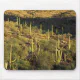 North America, USA, Arizona, Sonoran Desert Mouse Pad | Zazzle