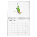 North American Hummingbirds Calendar | Zazzle