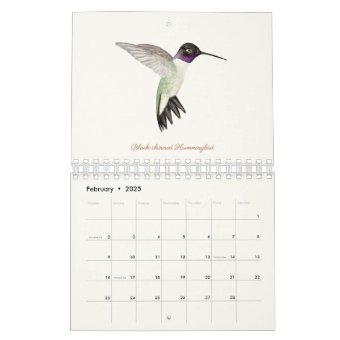 North American Hummingbirds Calendar | Zazzle