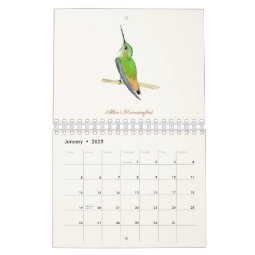North American Hummingbirds Calendar | Zazzle