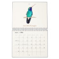 North American Hummingbirds Calendar | Zazzle